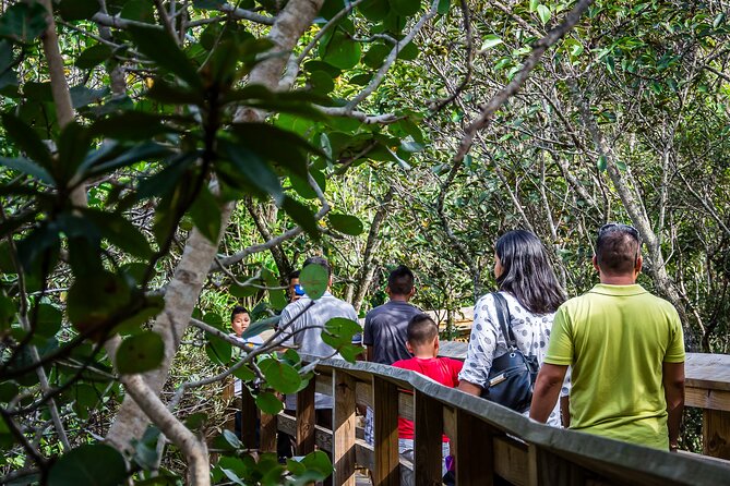 MIAMI: Everglades Airboat, Wildlife Gator Show and Photo - The Sum Up: Who Will Get the Most Out of This?