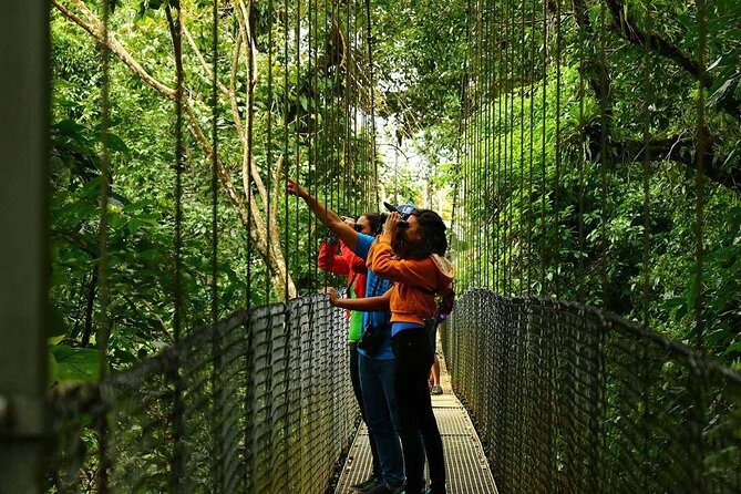 Mistico Hanging Bridges Tour With Lunch and Hotsprings - Meeting and Pickup Details