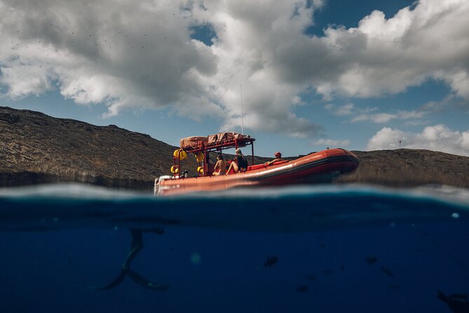 Molokini Crater and South Maui Coast Adventure from Kihei - What’s Included and What to Keep in Mind