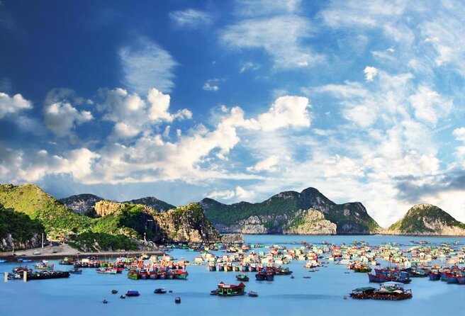 Mon Chéri Cruises 5 star: Amazing 3 days exploring Halong & Cat Ba island - Potential Drawbacks and Considerations