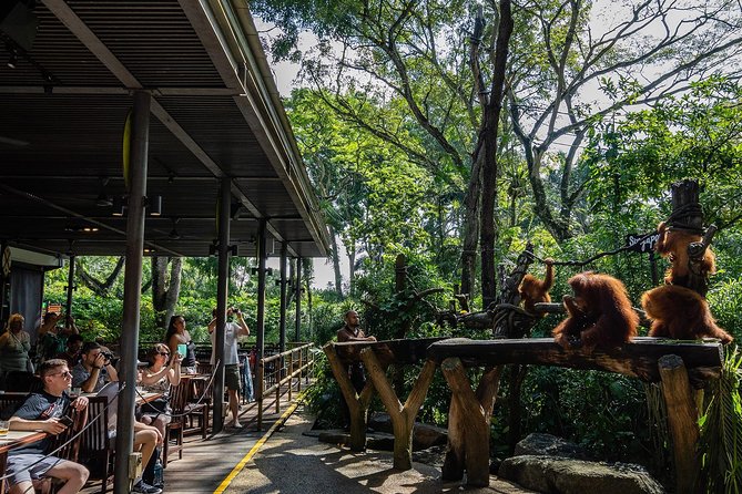 Morning at the Zoo with 1-way Transfer (Free & Easy) - Final Thoughts