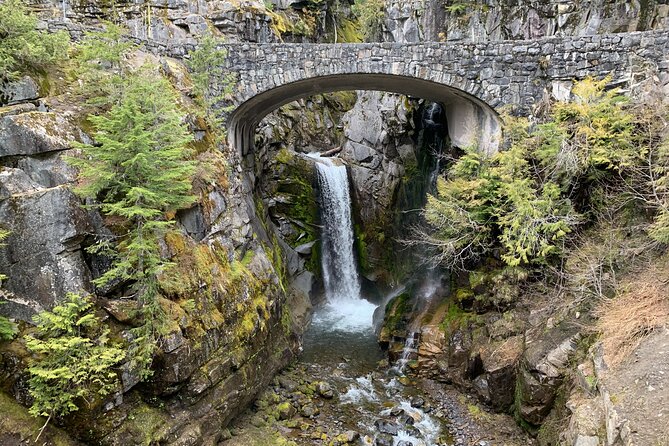 Mt. Rainier Tour and Guided Hike - Authentic Perspectives from Past Travelers