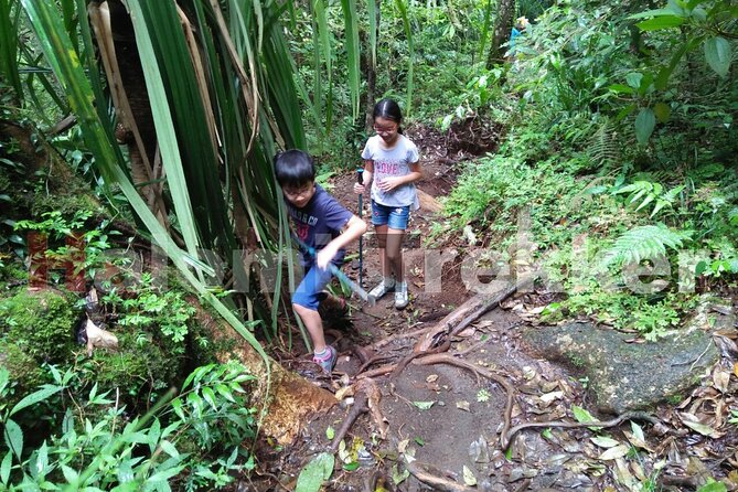 Mt Rinjani Trekking 2 Days 1 Night (Senaru Crater Rim) - Highlights from Travelers’ Experiences