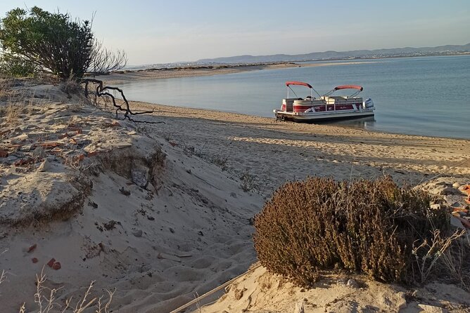 Nature Catamaran Tour From Faro - Inclusions and Accessibility