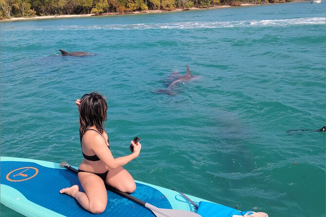 Nature & Island Exploration on SUP/Kayak - Who Should Consider This Tour?