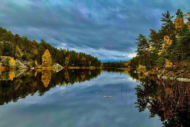 Nature Reserve Hiking Tour With Campfire Lunch - Traveler Experiences and Feedback