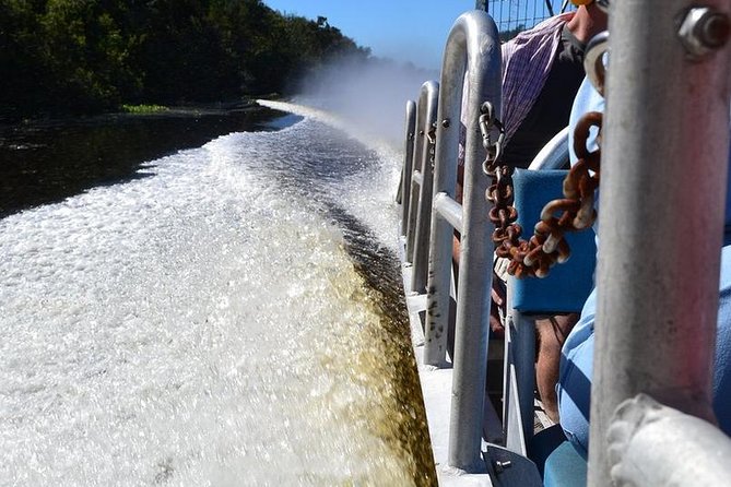 New Orleans Airboat Ride - Who Will Love This Tour?