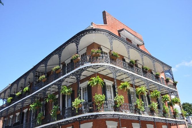 New Orleans Private Carriage Tour of the French Quarter - The Authenticity and Overall Experience