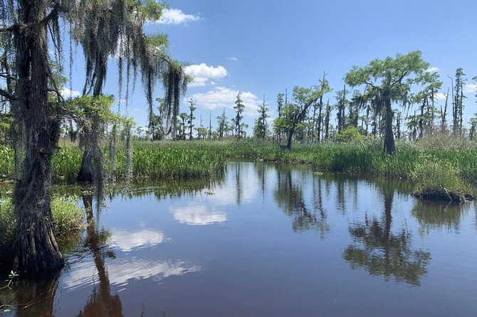 New Orleans Small-Group Airboat Swamp Tour - Who Will Love This Tour?