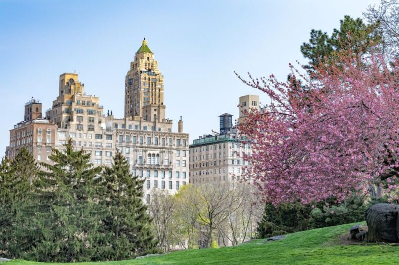 New York Edge Observation Deck & Little Island Pier 55 tour - The Practical Side: What to Expect