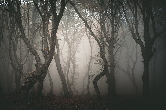 Night Tour in Hoia Baciu Forest - The Guide: Meet Alex