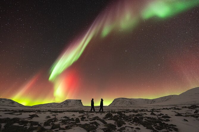 Northern Lights Photo Expedition Dinner Included From Abisko - Certified Guide and Tour Inclusions