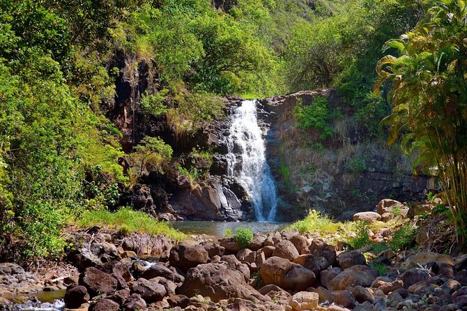 Northshore ocean adventure and circle islandJeep Tour- Guaranteed to see turtles - Practical Details and Value for Money