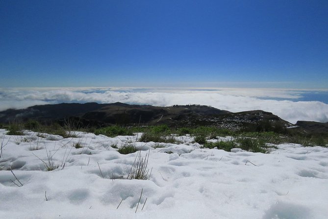 Nuns Valley Open 4X4 Tour - Pickup and Accessibility Information