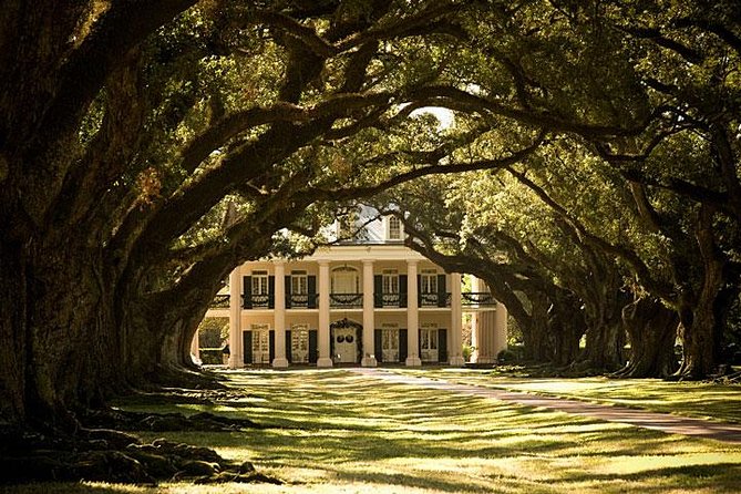 Oak Alley Plantation and Small Airboat Tour From New Orleans - Oak Alley Plantation: Discovering 19th-Century History