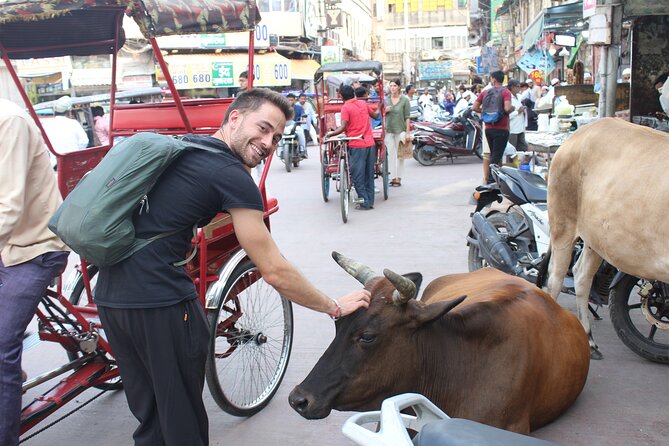 Old Delhi Food Tour Safari - The Capital of Flavors - The Value and Practicalities