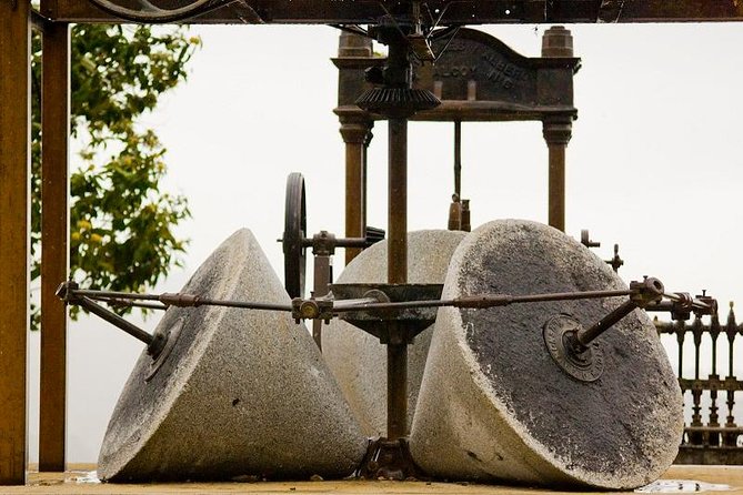 Olive Oil Farm Tour With Tasting From Seville - Exploring the Olive Groves