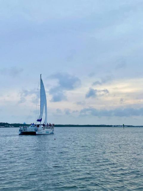 Orange Beach: Dolphin & Sailing Cruise Aboard 52' Catamaran - The Itinerary and Highlighted Features