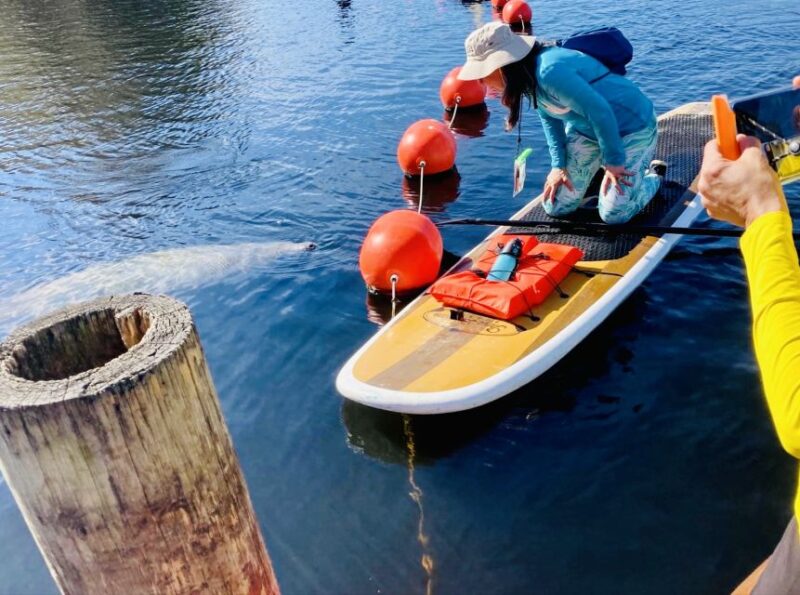 Orange City: Blue Spring State Park SUP & Kayaking Tour - FAQ