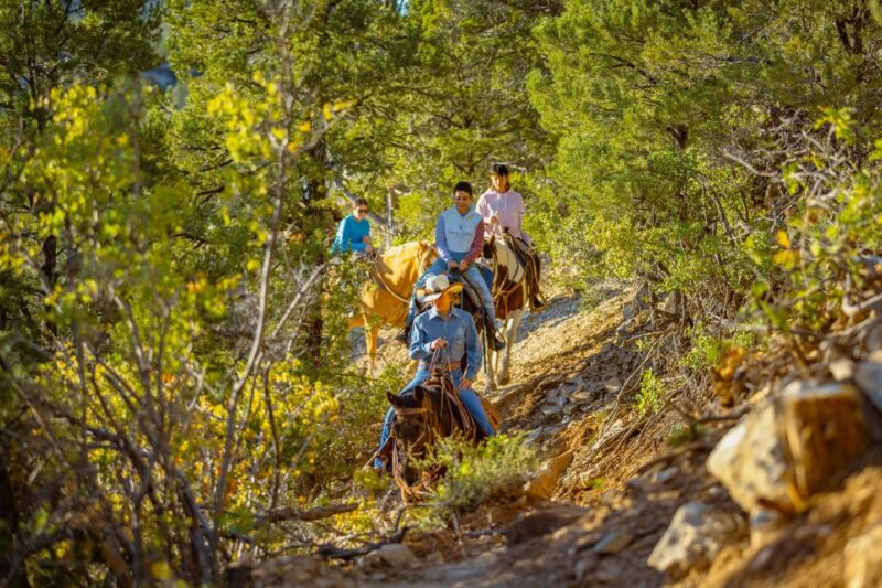 Orderville: Checkerboard Evening Shadow Horseback Ride - Value and Practicalities