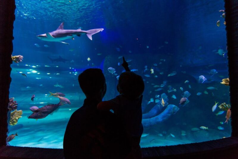 Orlando: All-Inclusive Pass with Kennedy Space Center - The Bottom Line