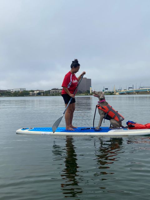 Orlando: Paddle with Pups in Paradise - Paddleboard or Kayak - Who Will Love This Experience?