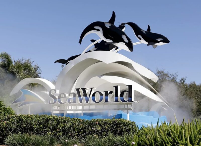 Orlando: SeaWorld Shuttle Service - The Itinerary and Logistics