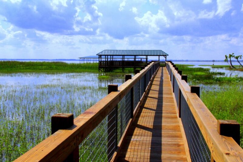 Orlando: Wild Florida Airboat Ride with Transport & Lunch - Practical Tips for Visitors