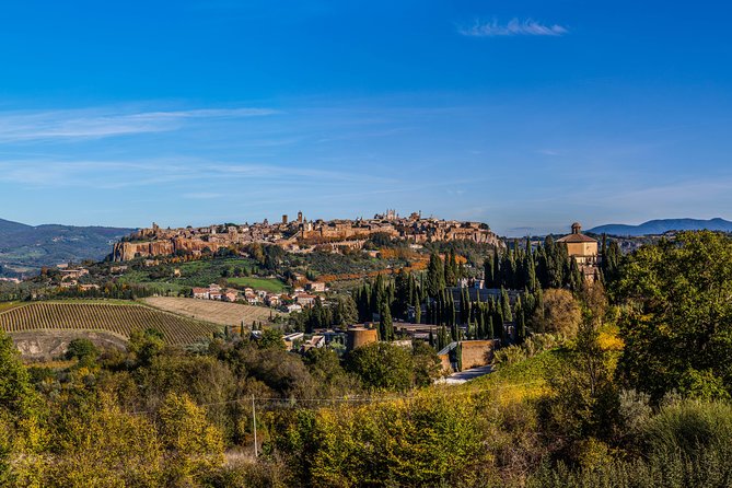 Orvieto and Civita Di Bagnoregio Tour From Rome - Driver Feedback and Guest Experiences