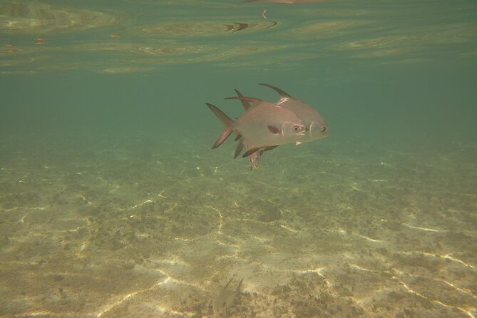Panama City Scuba Diving Activity for Beginners - Experience and Instructor Feedback