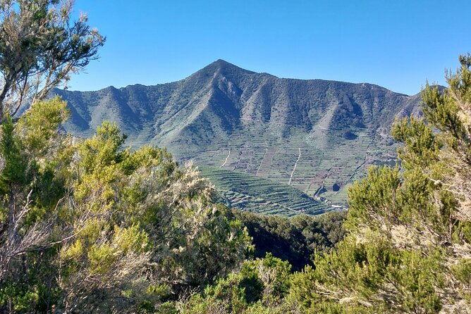 Panoramic Route Across the Teno Rural Park in Tenerife - Meeting and Logistics