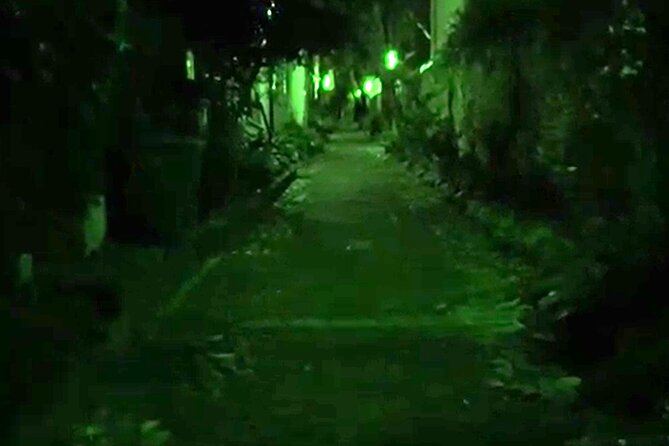 Paranormal Investigation: YOU are the Ghost Hunter - Who Should Consider This Tour?