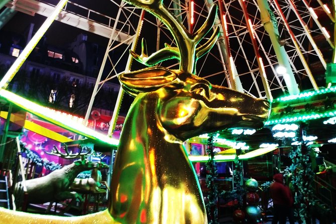 Paris Christmas Illuminations and Local Festivities Private Tour - Professional Local Guides