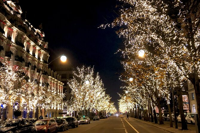 Paris Christmas Lights Small Group Walking Tour With Local Guide - Accessibility and Additional Information
