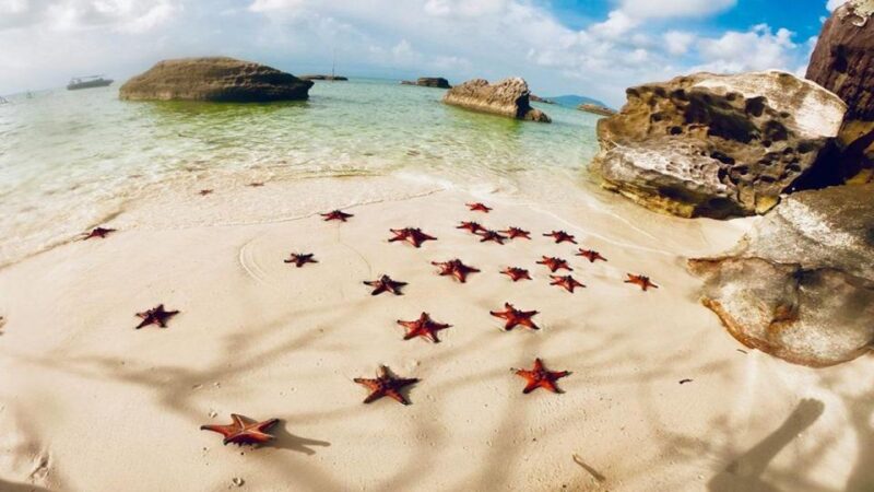 Phu Quoc: Kayaking with Starfish Beach and Bee Farm Tour - Practical Tips for Future Travelers