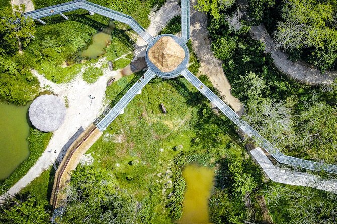 Phuket Elephant Sanctuary Canopy Walkway Tour - The Value of the Experience