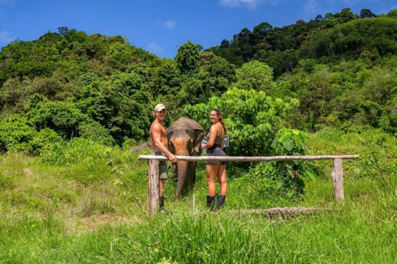 Phuket: Elephant Sanctuary Guided Tour with Hotel Transfers - The Itinerary in Detail