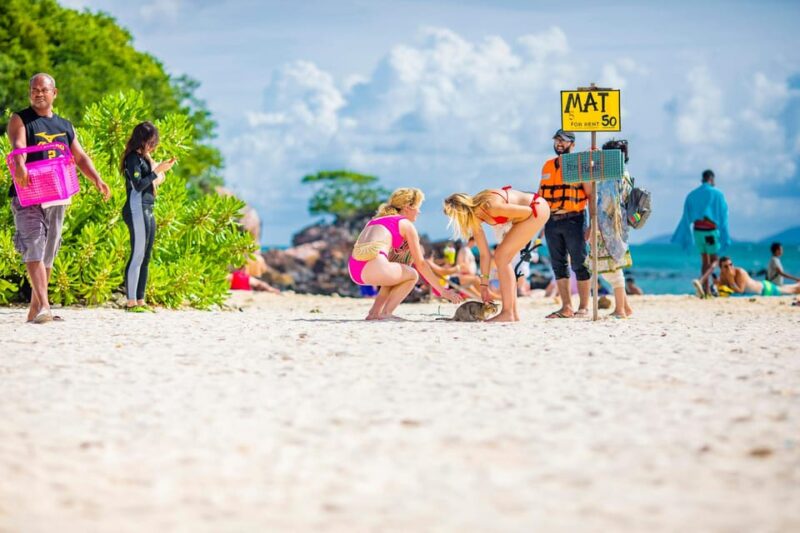 Phuket: Khai Islands Premium Speedboat Half Day Adventure - The Practical Side: Transportation, Timing, and Value