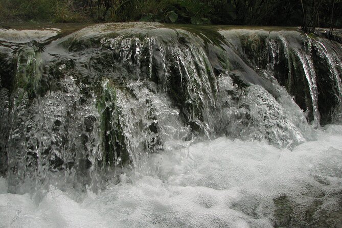Plitvice Lakes Guided Tour - Meeting Point and Logistics