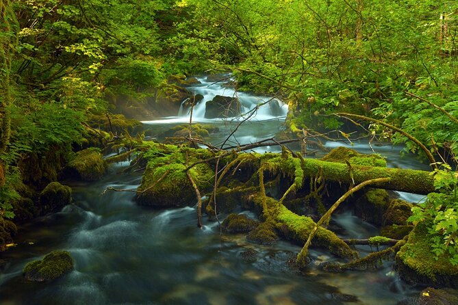 Plitvice Lakes Private Guided Walking Tour - Visitor Experiences and Feedback