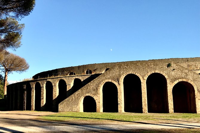 Pompeii Visit With Food and Wine Tasting Near Mt. Vesuvius - A Journey to the Vineyard