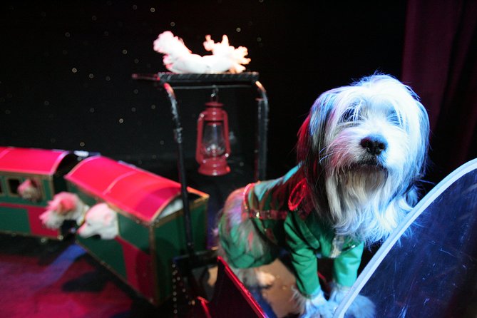 Popovich Comedy Pet Theater at Planet Hollywood Resort and Casino - FAQ