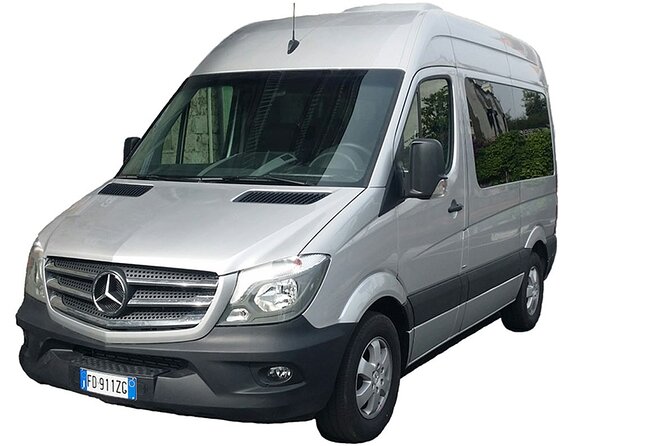Positano or Ravello to Naples Airport/Station Private Departure Transfer - Accessibility Options