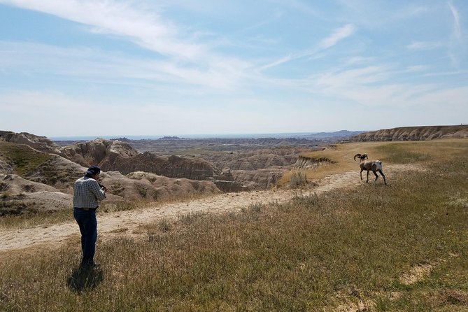 Premiere Private Badlands Day Tour - Transport, Timing, and Group Size