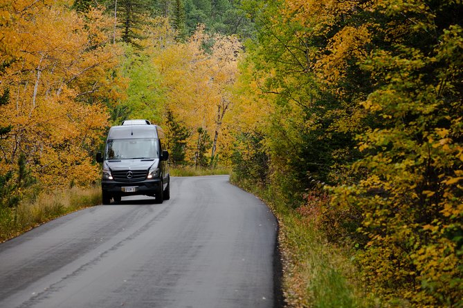Premiere Private Black Hills Tour: Mt Rushmore, Crazy Horse & Custer State Park - Guest Experiences and Reviews