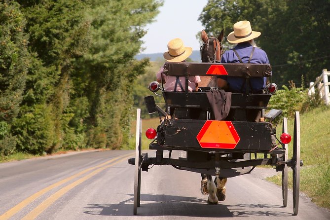 Premium Amish Country Tour including Amish Farm and House - A Closer Look at the Highlights and Details
