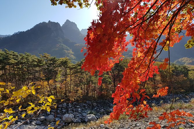 [Premium Private Tour] Mt Seorak & East Sea or Nami island from Seoul - Why This Tour Is a Good Deal