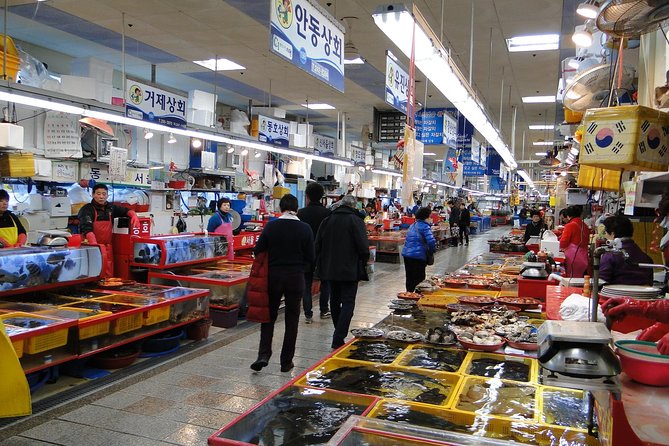Private Busan tour with gamcheon culture village and the temple (Customizable) - Final Thoughts