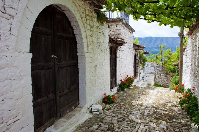 Private Day Tour of Berat and Durres From Tirana - Inclusions and Services