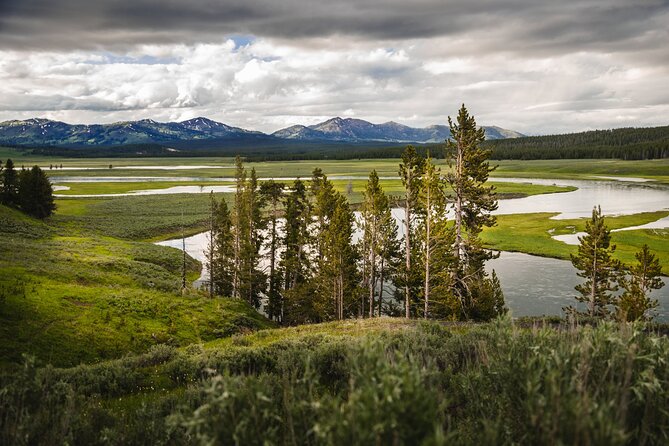 Private Full-Day Yellowstone National Park Tour - Expert Guides and Tailored Experiences